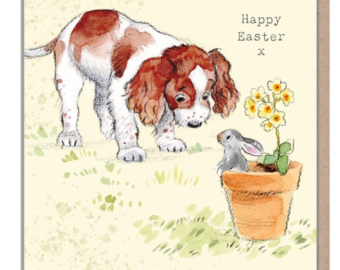 Paper Shed Design - Quality Greeting Cards