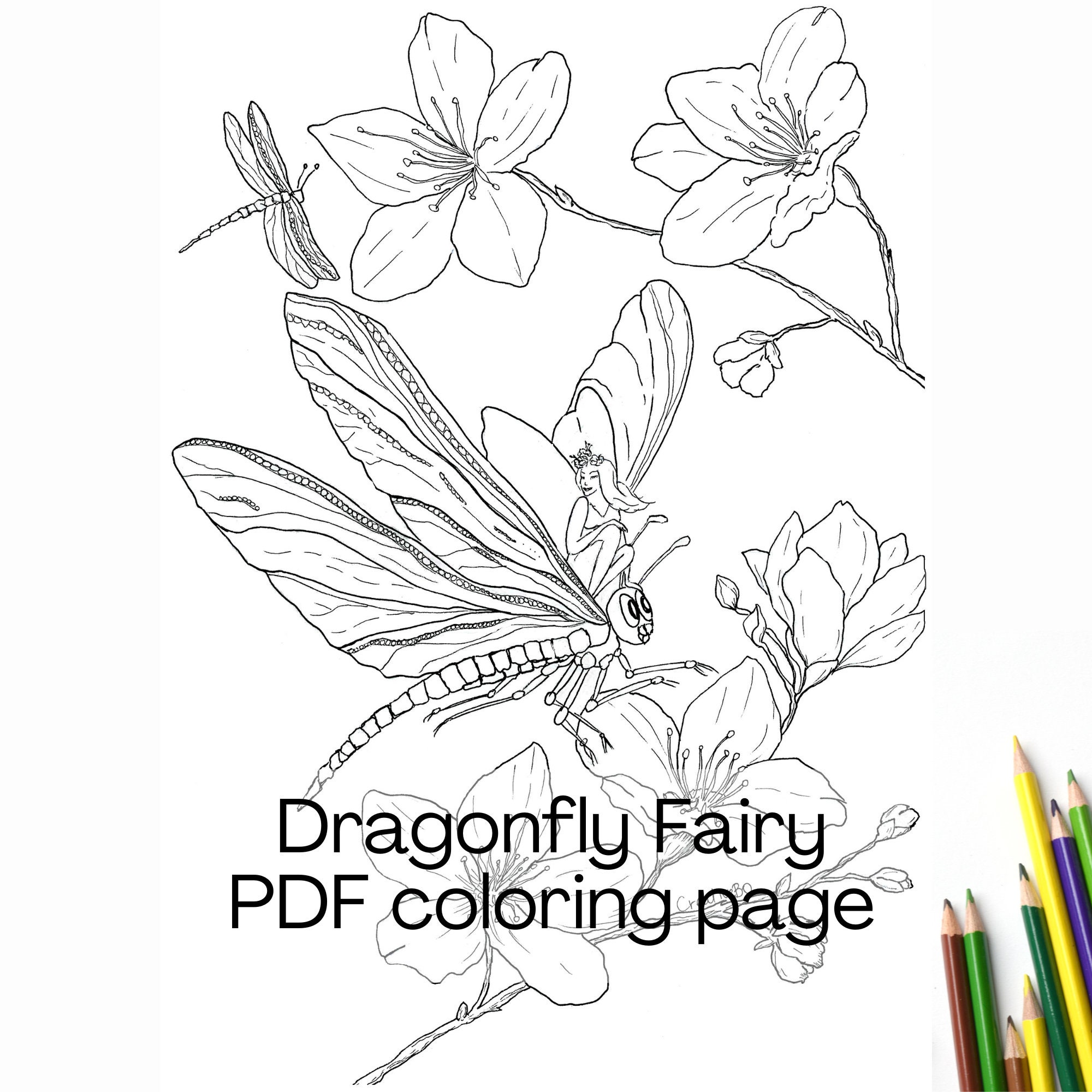 Dragonfly Fairy Adult Downloadable Fantasy Floral Coloring Page for ...