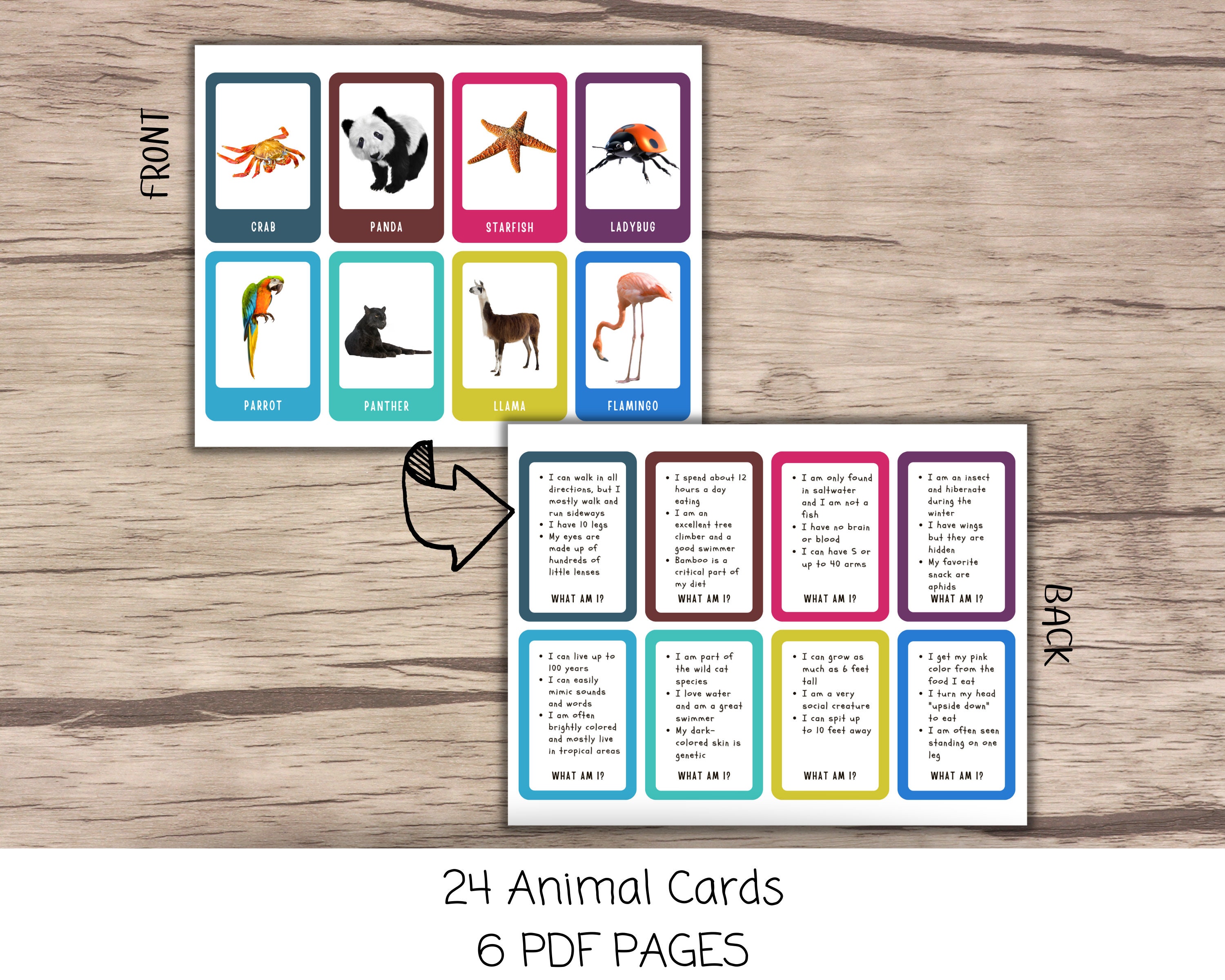 What Am I Animal Science Picture Cards PDF Printable Fun Learning ...