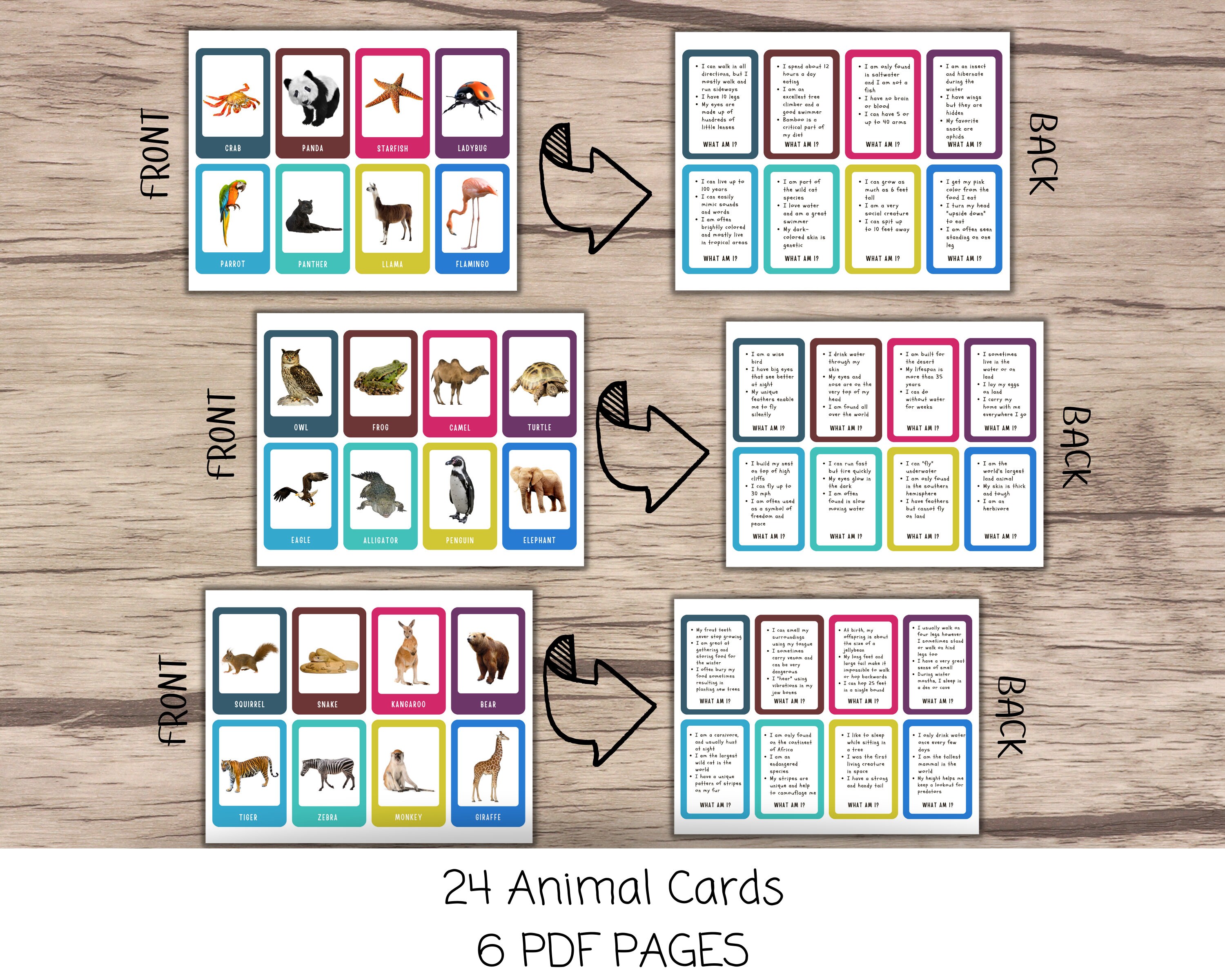 What Am I Animal Science Picture Cards PDF Printable Fun Learning ...
