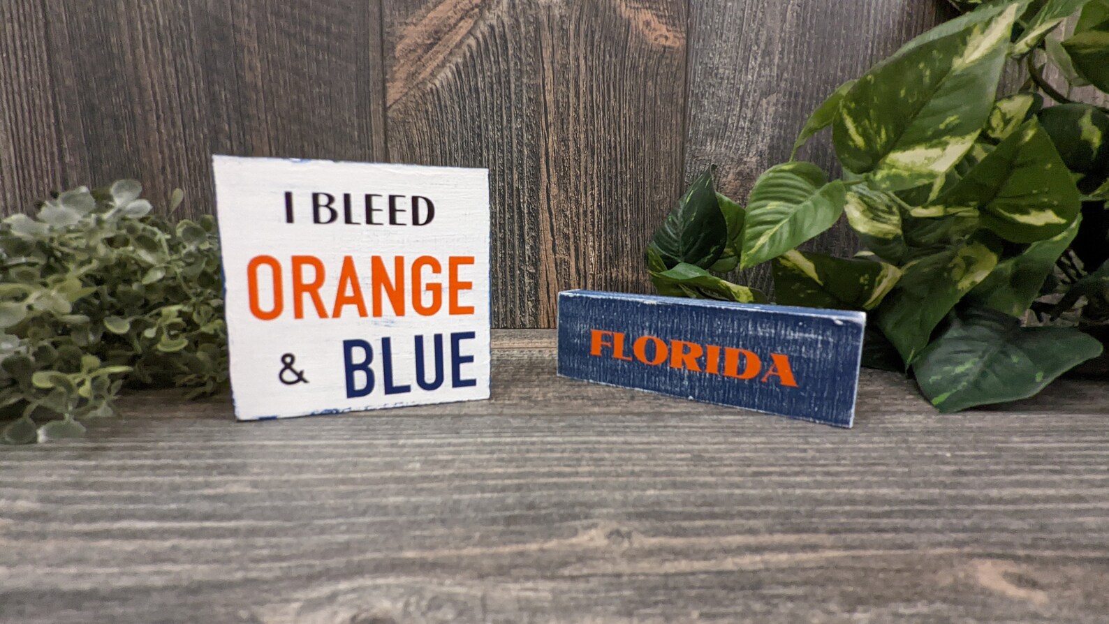 Florida Gator Tiered Tray Items | University of Florida Decor | UF ...