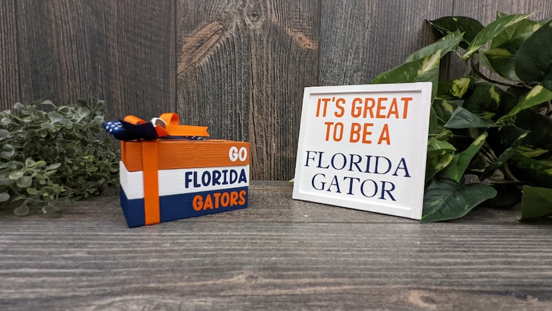 Florida Gator Tiered Tray Items | University of Florida Decor | UF ...