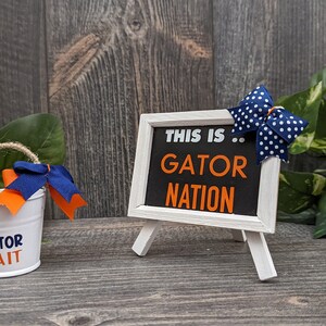 Florida Gator Tiered Tray Items | University of Florida Decor | UF ...