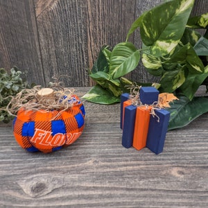 Florida Gator Tiered Tray Items | University of Florida Decor | UF ...