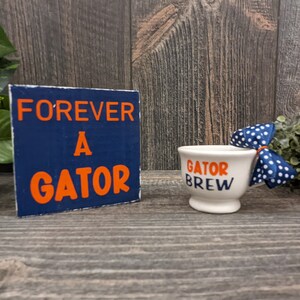 Florida Gators Decor | University of Florida Decor | Florida Gator ...
