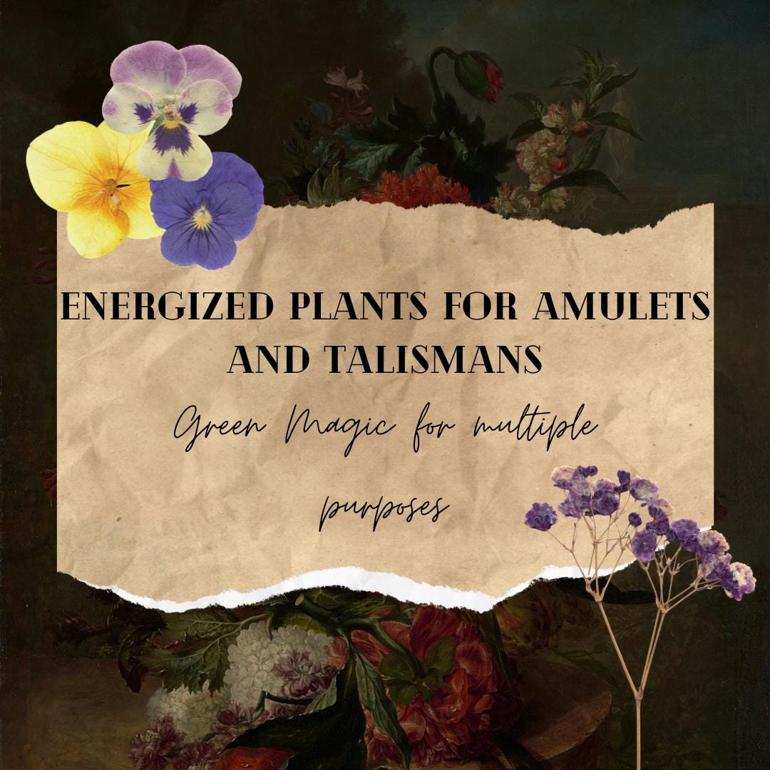 Energized Plants for Customized Amulets and Talismans / Green Magic for ...