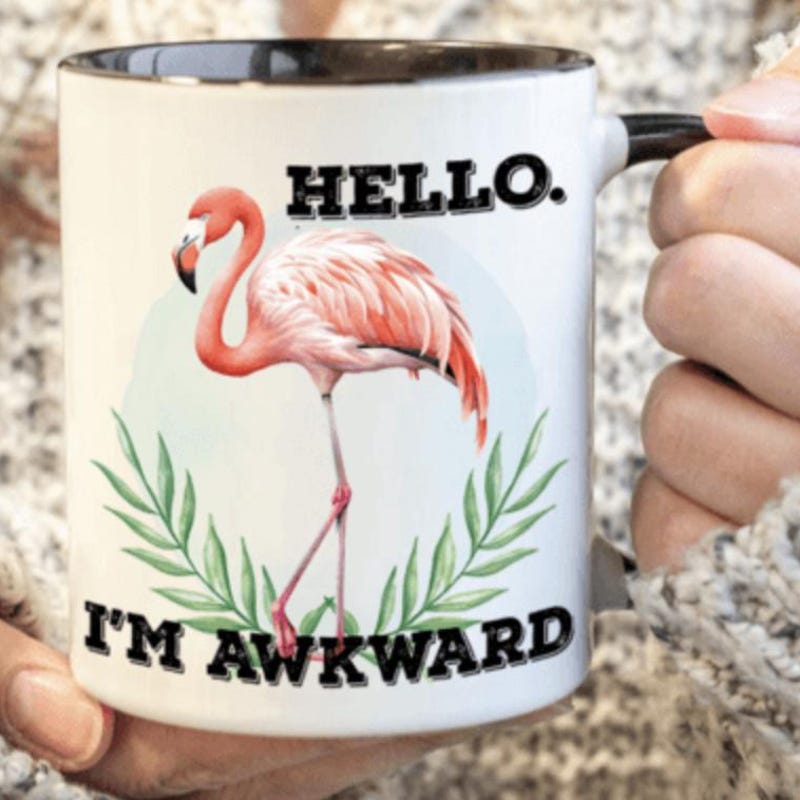 Flamingo Gag Gifts - 60+ Gift Ideas for 2025
