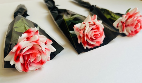 RARE no Plant Red Blood ROSE Flower Tree Bush 3, 10 ,20 or 30 Seeds ...