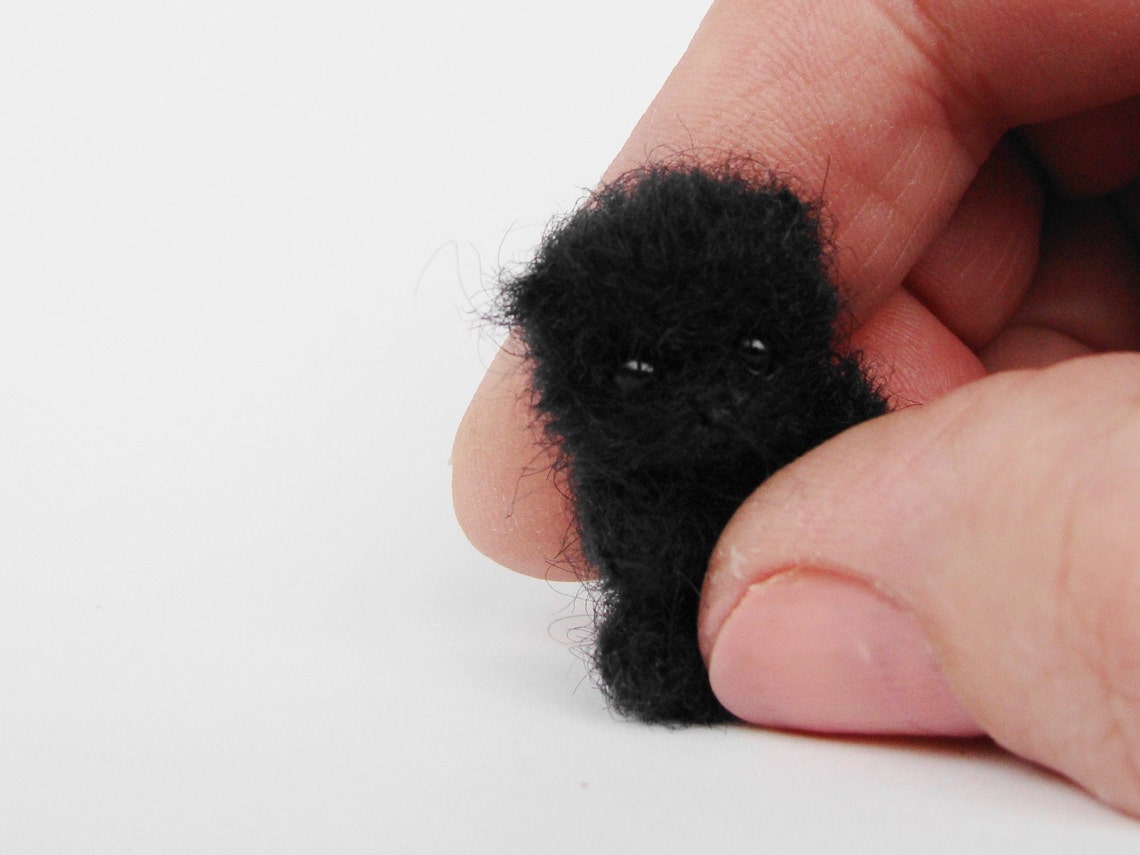 Tiny Pomeranian Miniature Animal Plush 32mm 12 Inch Small Toy - Etsy