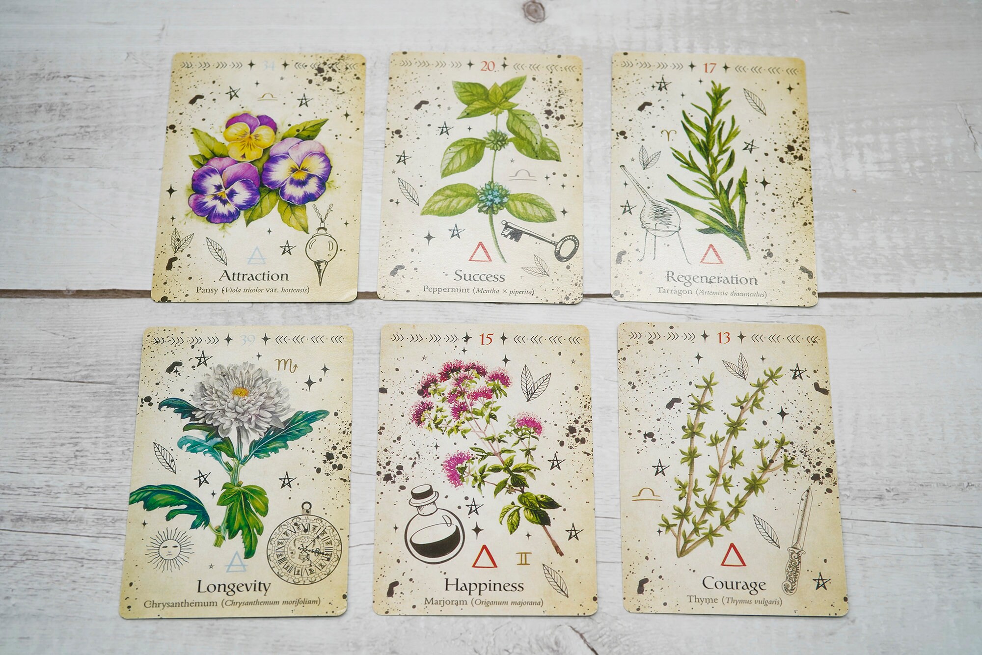 Green Witch Oracle Cards/tarot Deck/divination Deck/ Divination Card by ...