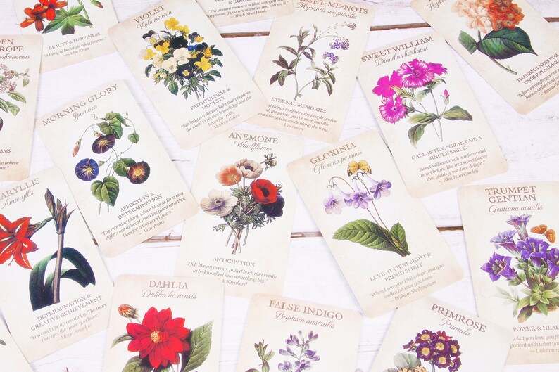 Botanical Inspiration Oracle Cards and PDF Guidebook/44 X Deck Cards ...