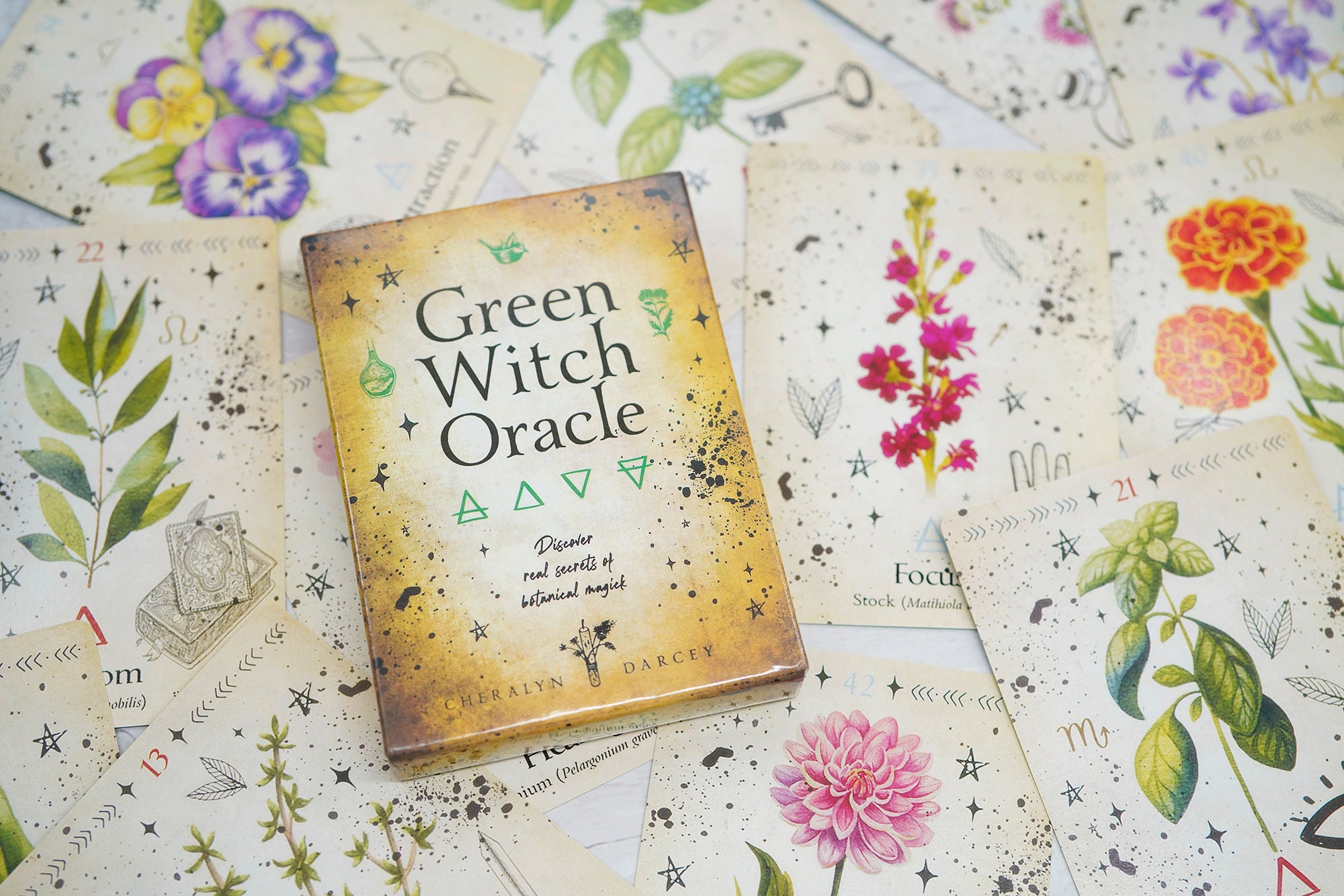 Green Witch Oracle Cards/tarot Deck/divination Deck/ Divination Card by ...