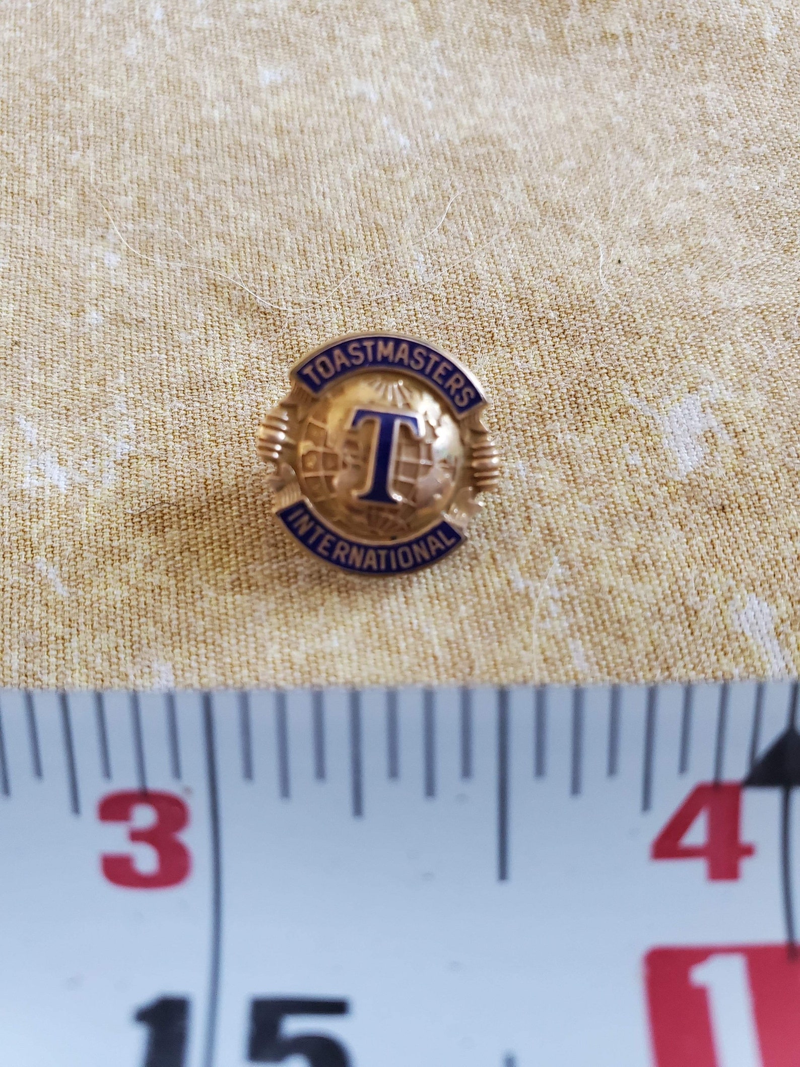 Toastmasters international 1/2 lapel pin threaded backing | Etsy
