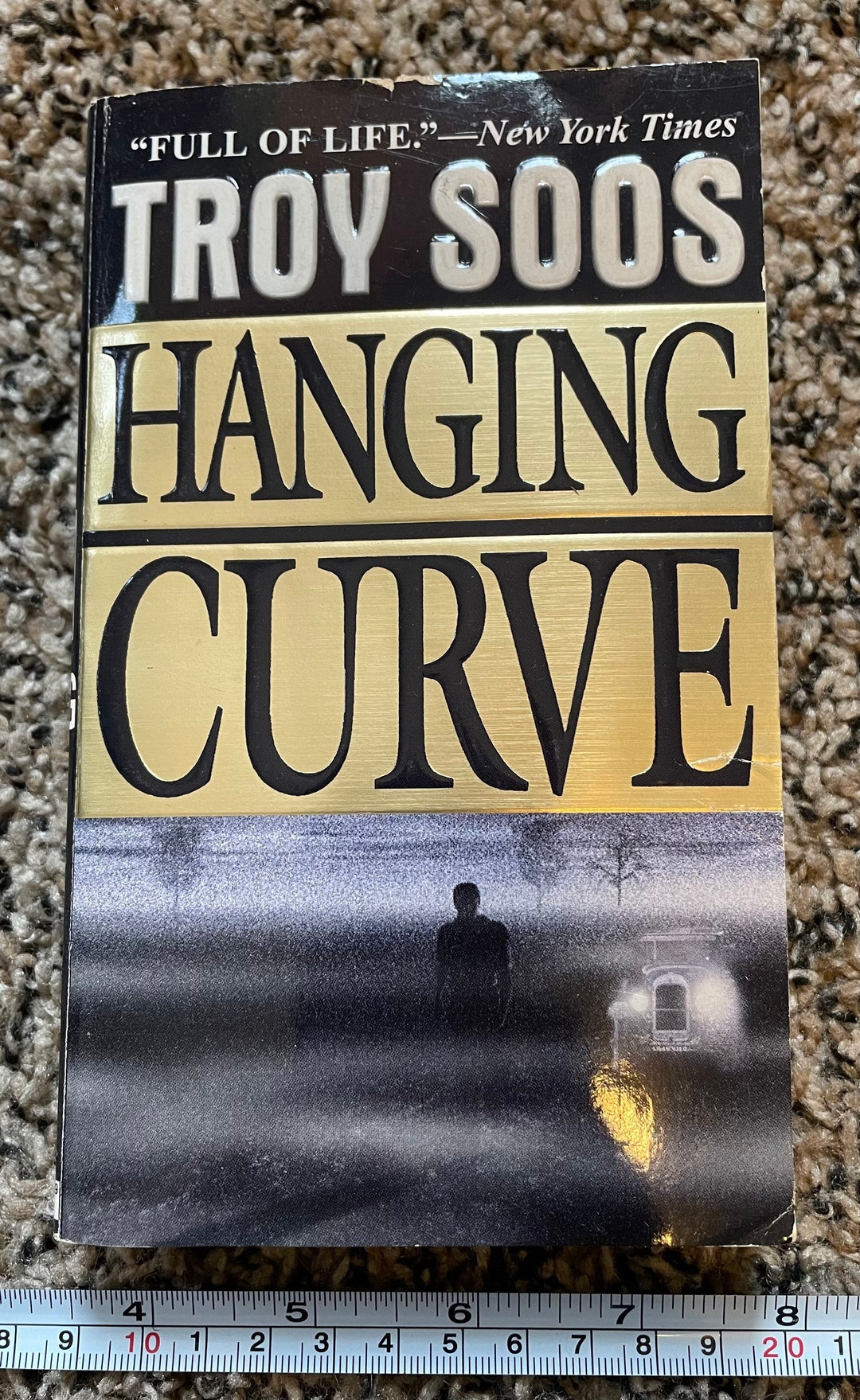 Vintage Hanging Curve by Troy Soos Book 1999 Mickey Rawlings Baseball ...