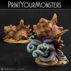 Lurker Clams & Giant Shells | Dnd Aquatic Mollusk Monster Scale ...