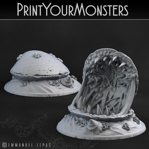 Lurker Clams & Giant Shells | Dnd Aquatic Mollusk Monster Scale ...