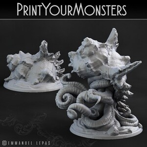 Lurker Clams & Giant Shells | Dnd Aquatic Mollusk Monster Scale ...