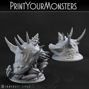 Lurker Clams & Giant Shells | Dnd Aquatic Mollusk Monster Scale ...