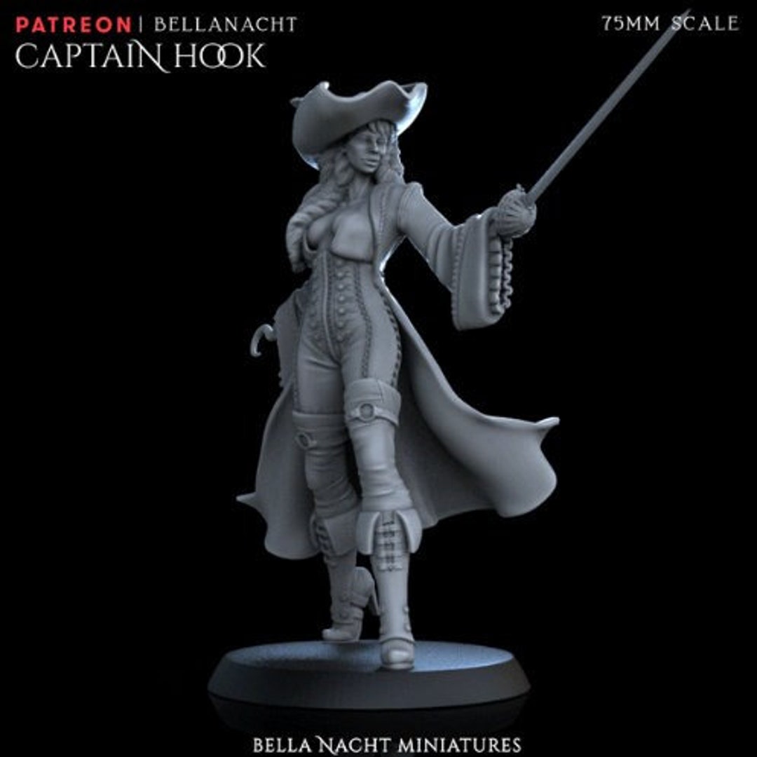 Captain Hook | Bella Nacht Miniatures | Dungeons & Dragons | Fantasy ...