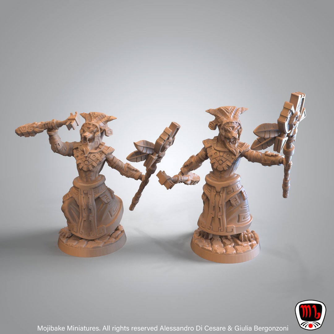 Eyotl, the Evil Shaman | Tabaxi Shaman Miniature Dnd Model | 32mm ...