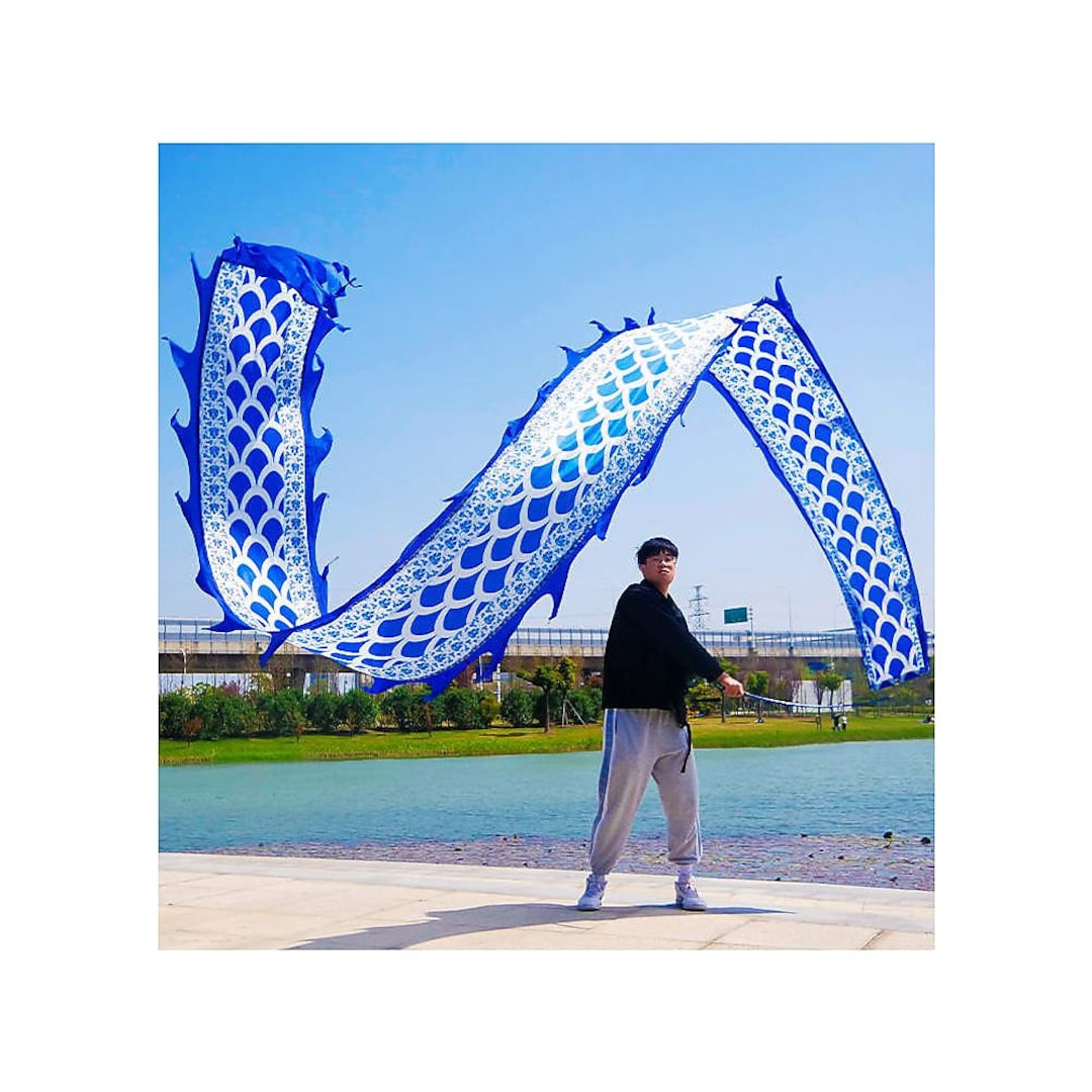 Single Pro Dragon Poi - Etsy