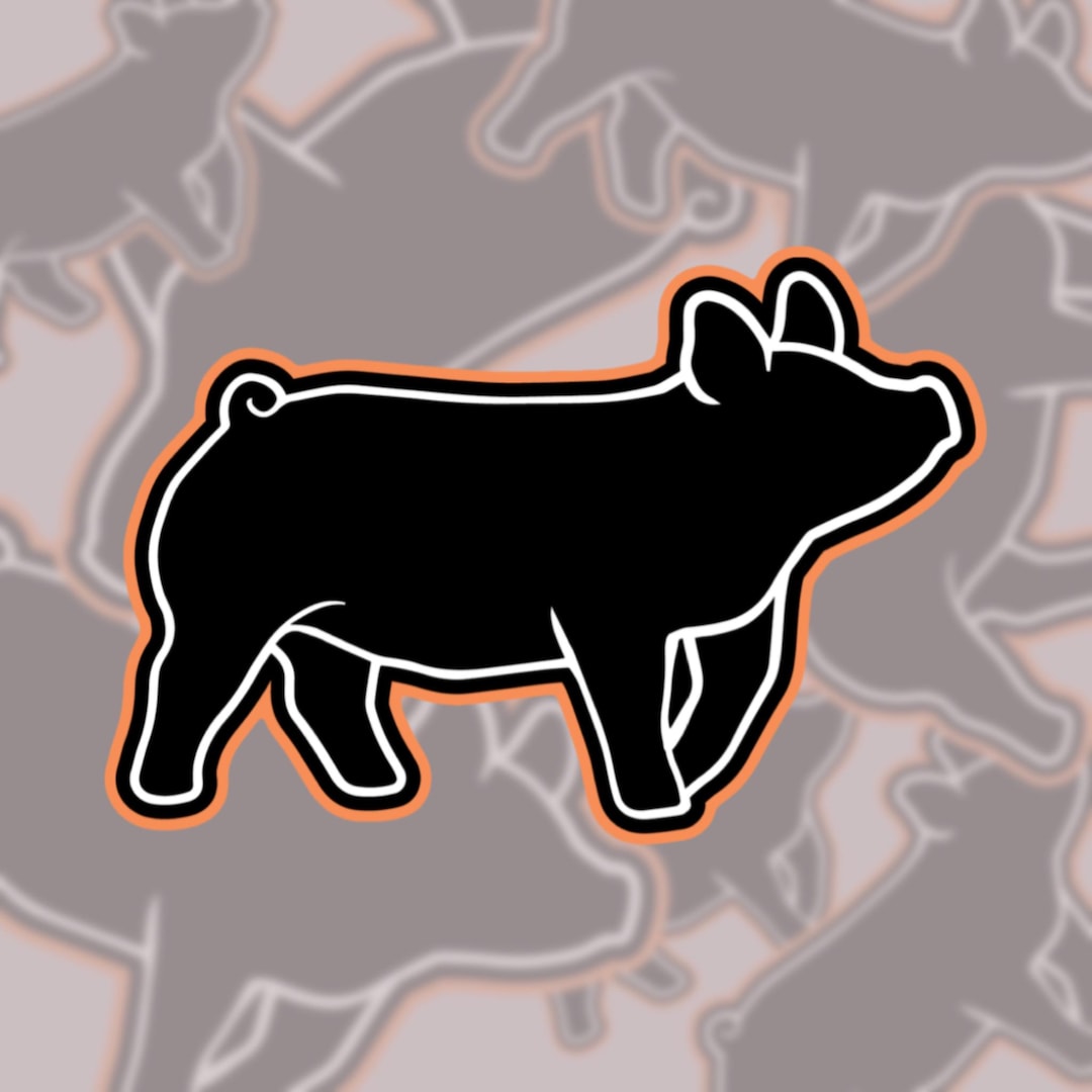 Show Pig Vinyl Sticker: Matte Laminate, Laptop Decal - Etsy