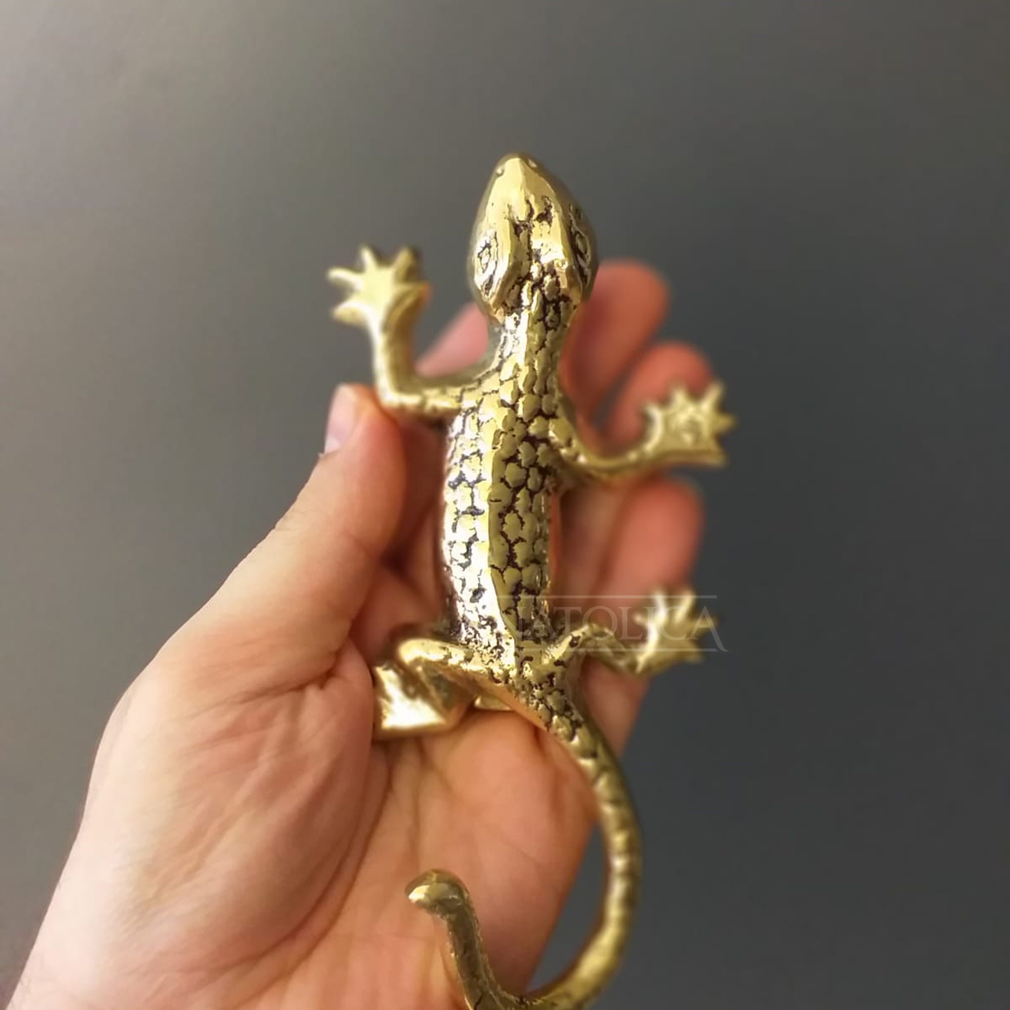 Anatolica Brass Gecko Door Knocker, 6.5 Inches, Lizard Frontdoor ...