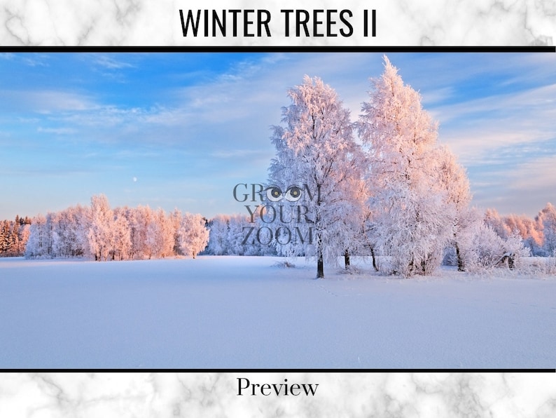 Winter virtual backgrounds for zoom - snoand