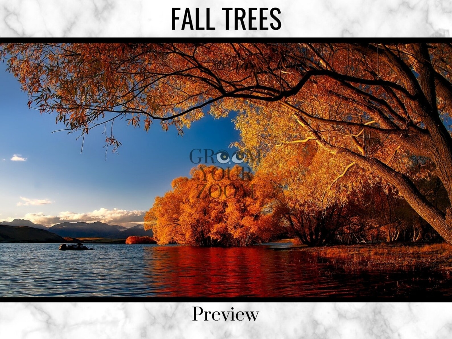Fall Trees Zoom Background 4 Virtual Backgrounds for Video - Etsy