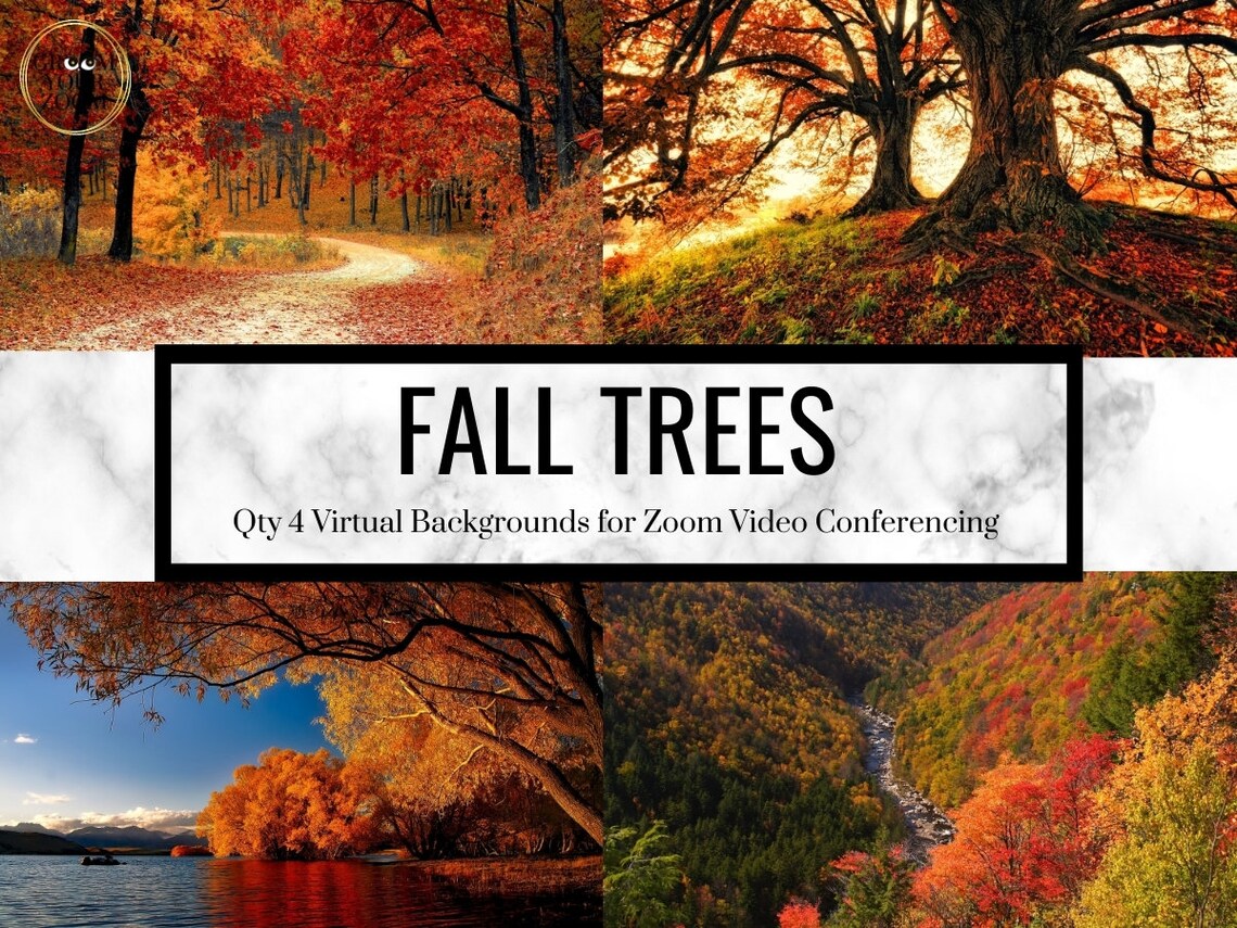 Fall Trees Zoom Background 4 Virtual Backgrounds for Video - Etsy