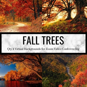 Fall Trees Zoom Background 4 Virtual Backgrounds for Video - Etsy
