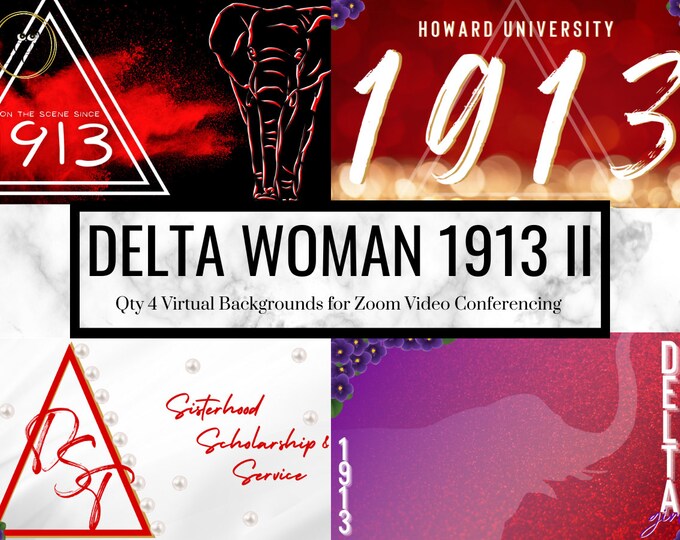 Delta Woman II Zoom Background - 4 Virtual Backgrounds for Video Call ...