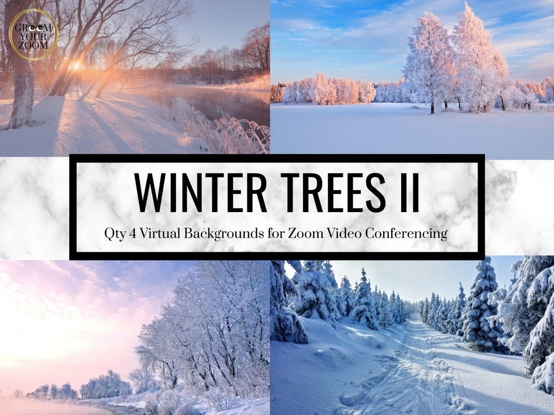 Winter Trees II Zoom Background 4 Virtual Backgrounds for Video Call ...