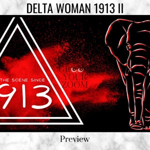 Delta Woman II Zoom Background - 4 Virtual Backgrounds for Video Call ...