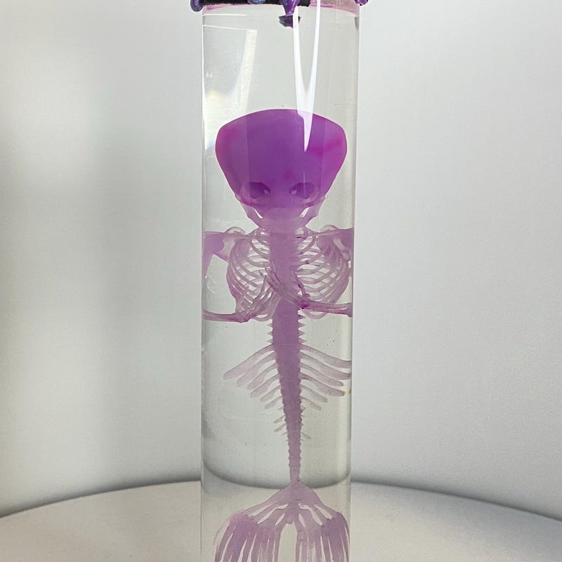 Diaphonization - Etsy