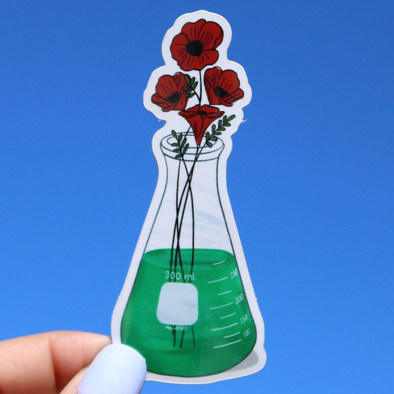 Erlenmeyer Flask - Etsy