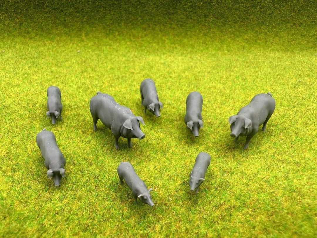 Medieval 28mm Pigs Hogs Farm Village Scatter Reconquer Designs - Etsy