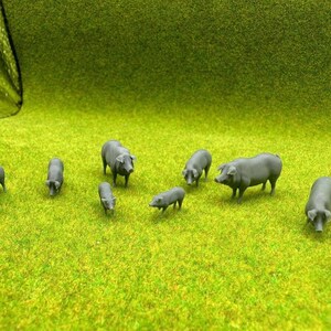 Medieval 28mm Pigs Hogs Farm Village Scatter Reconquer Designs - Etsy