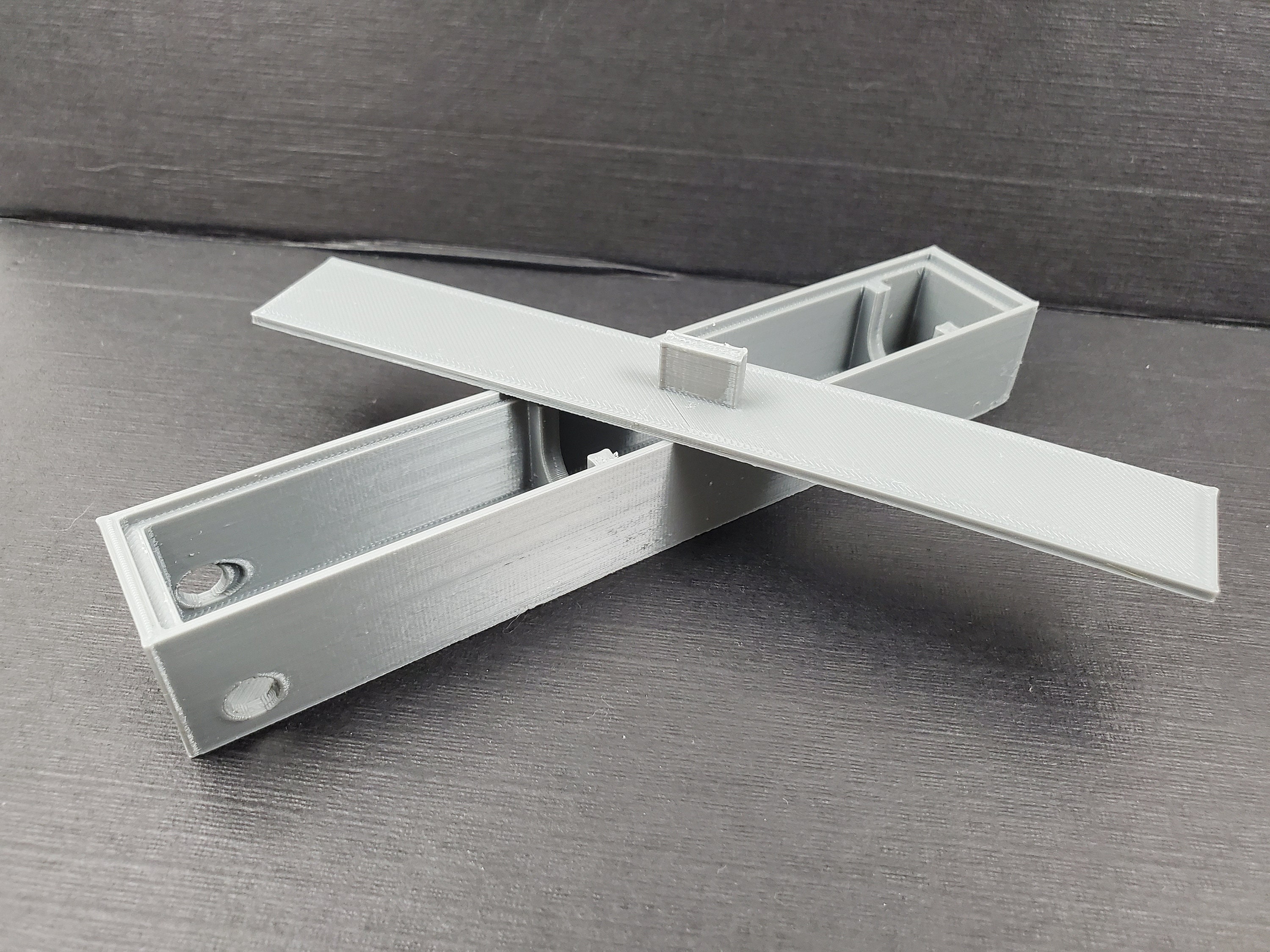 Ant Queen Starter Kit Test Tube and Box - Etsy