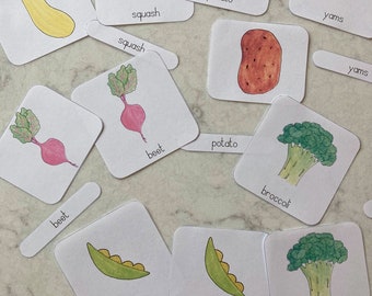 Garden Plant 3-part Cards Printable Preschool Kindergarten Montessori ...