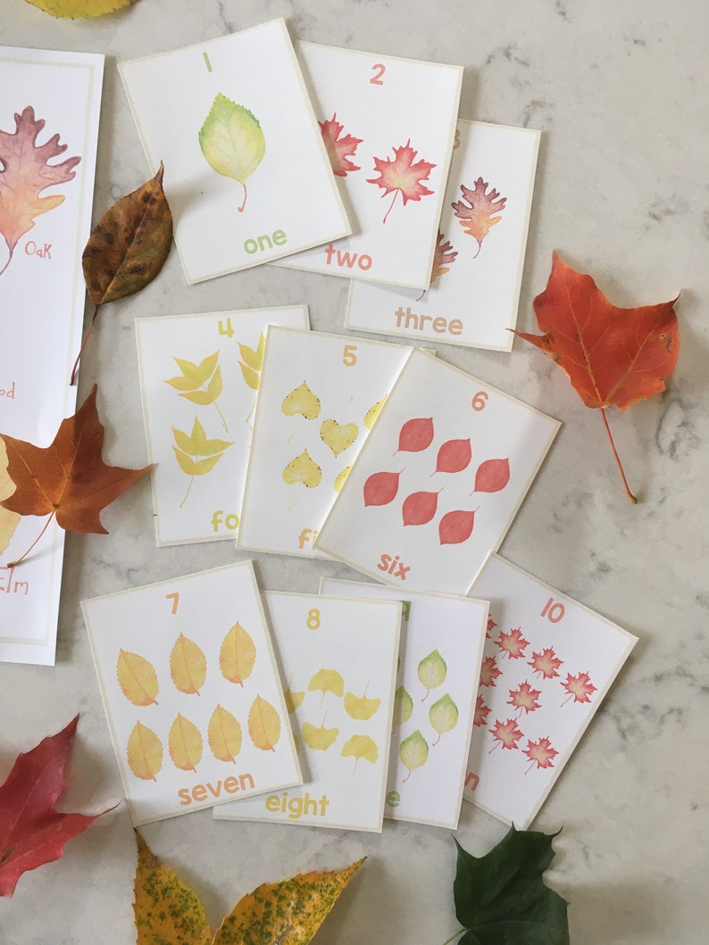 Autumn Leaf Early Learning Bundle - Charlotte Mason Nature Study - Etsy