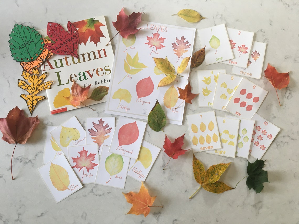 Autumn Leaf Early Learning Bundle - Charlotte Mason Nature Study - Etsy