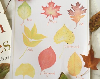 Autumn Leaf Flash Cards - Charlotte Mason Nature Study - Etsy