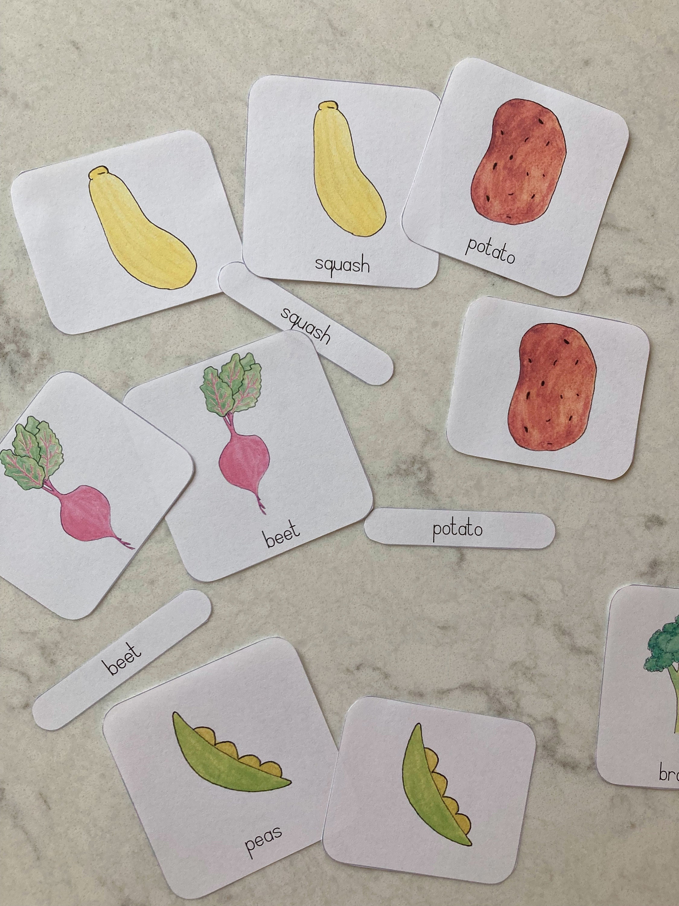 Garden Vegetable 3-part Cards Montessori - Etsy