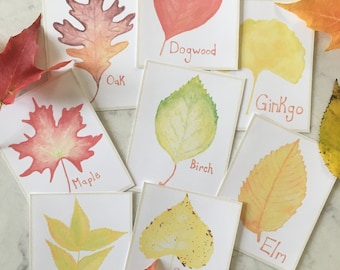 Autumn Leaf Number Flash Cards, 1-10 - Charlotte Mason Nature Study - Etsy