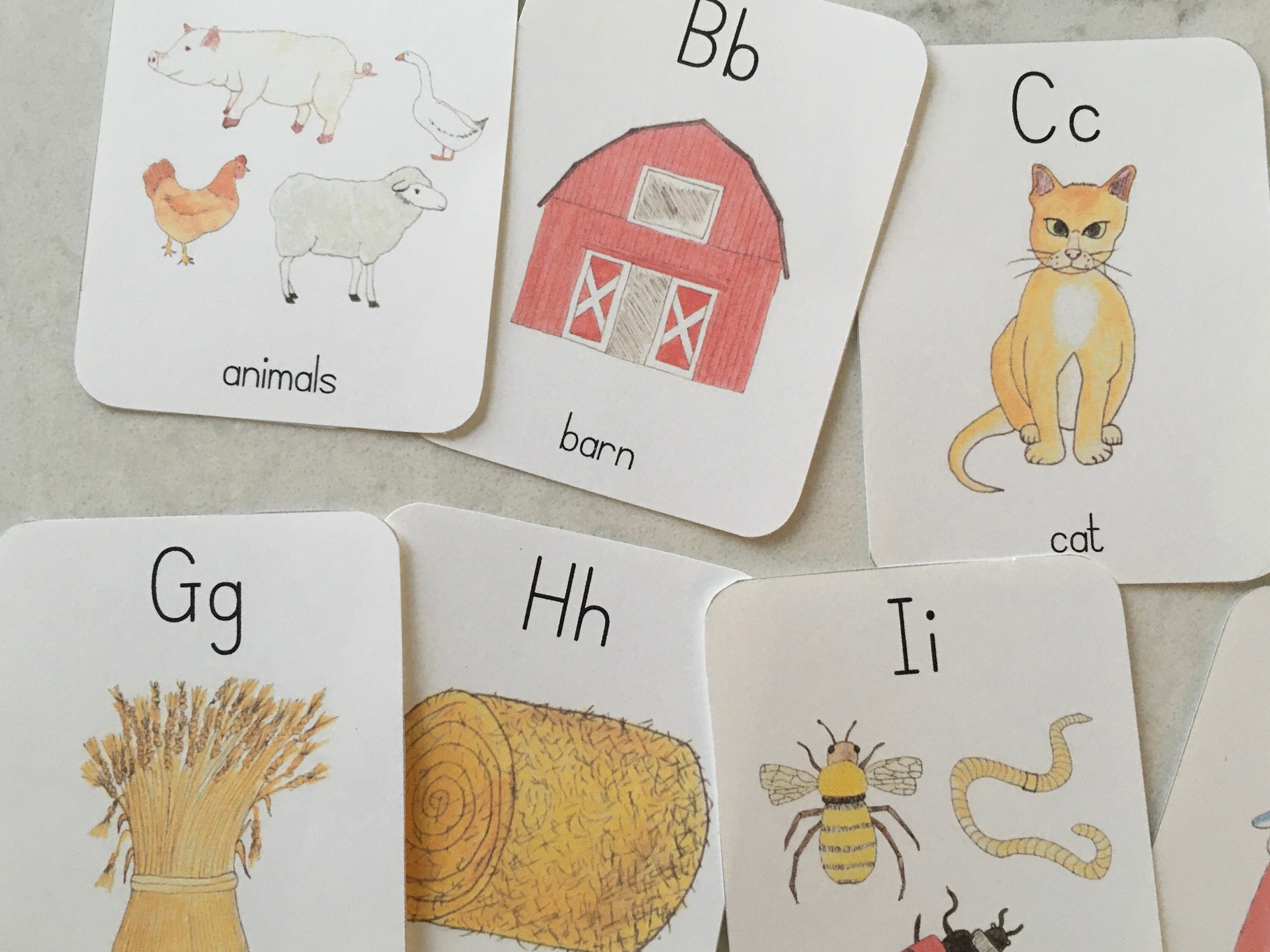 Farm Alphabet Cards & Poster - Etsy
