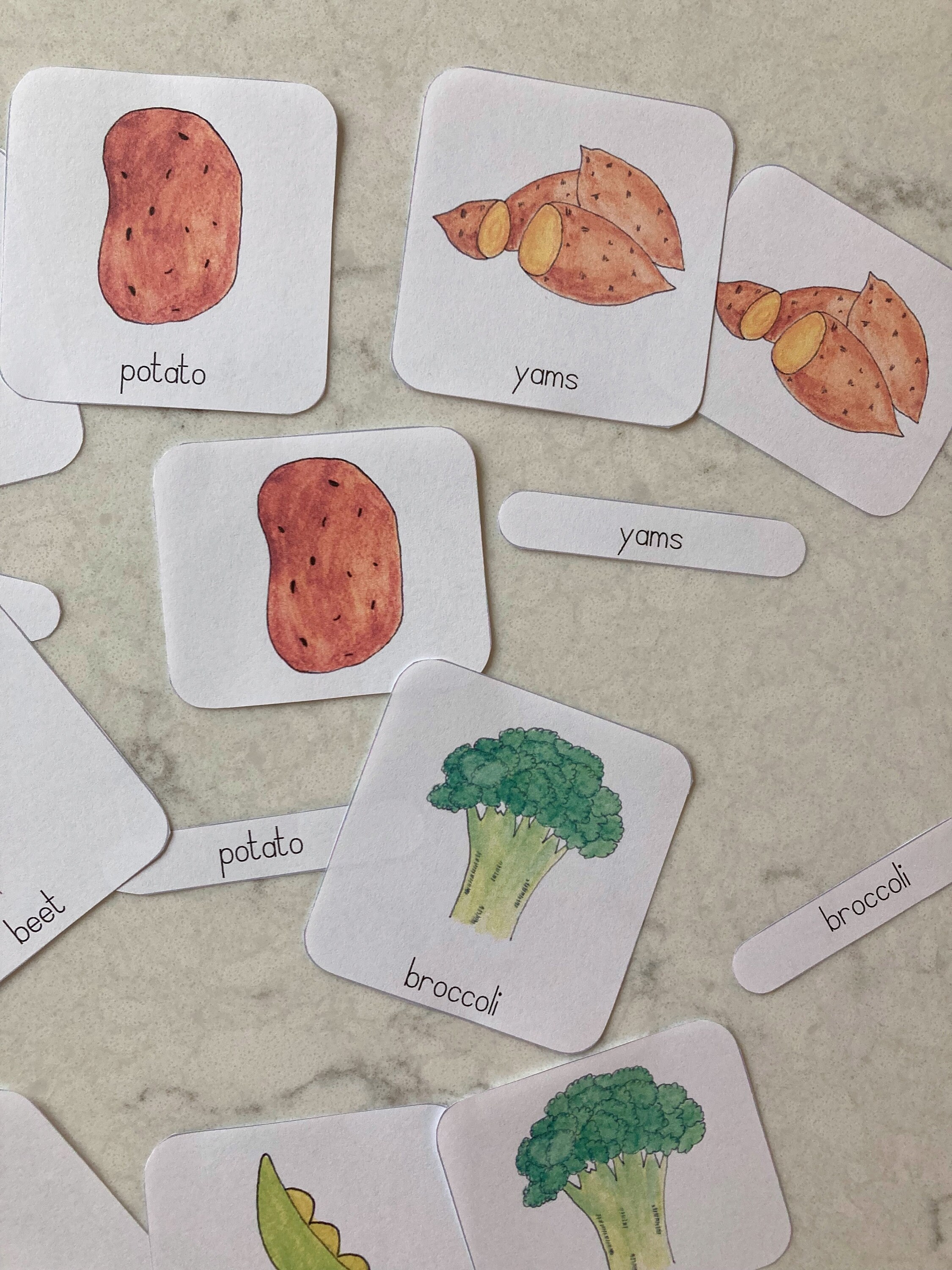 Garden Vegetable 3-part Cards Montessori - Etsy