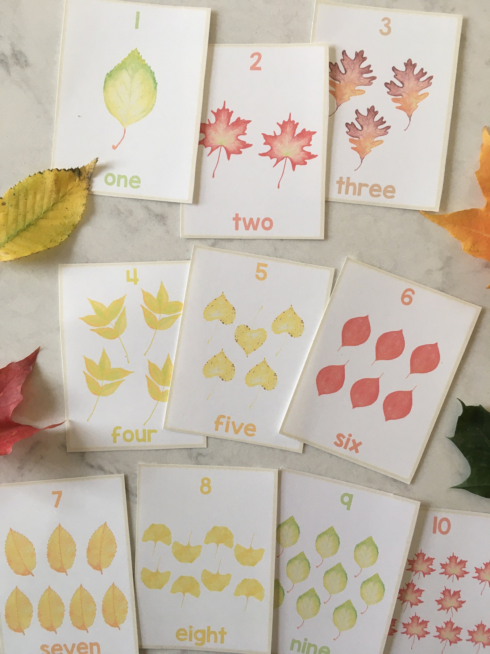 Autumn Leaf Number Flash Cards, 1-10 - Charlotte Mason Nature Study - Etsy
