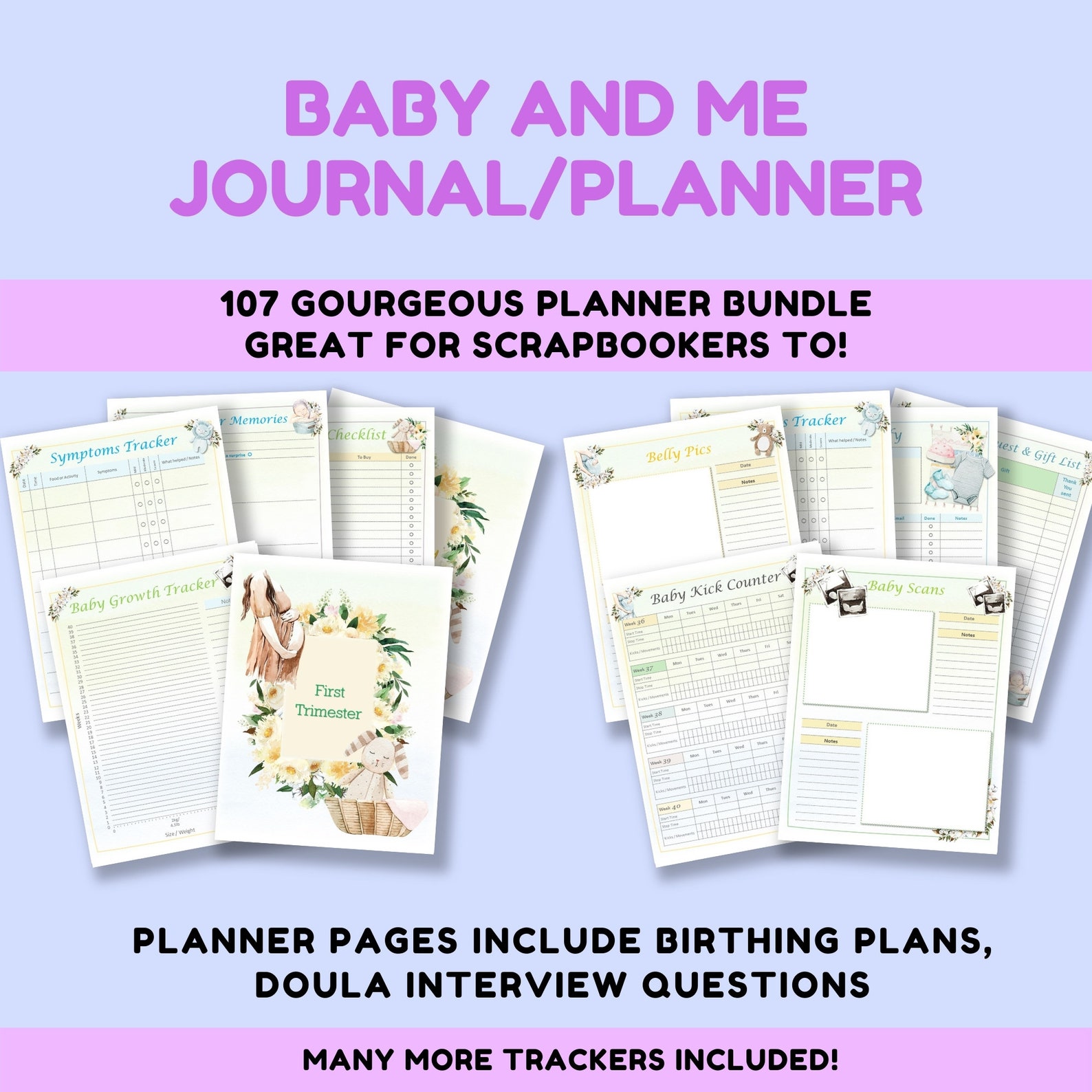 Baby and Me Pregnancy Planner 2-pack Birth Plan Appointments Memories ...