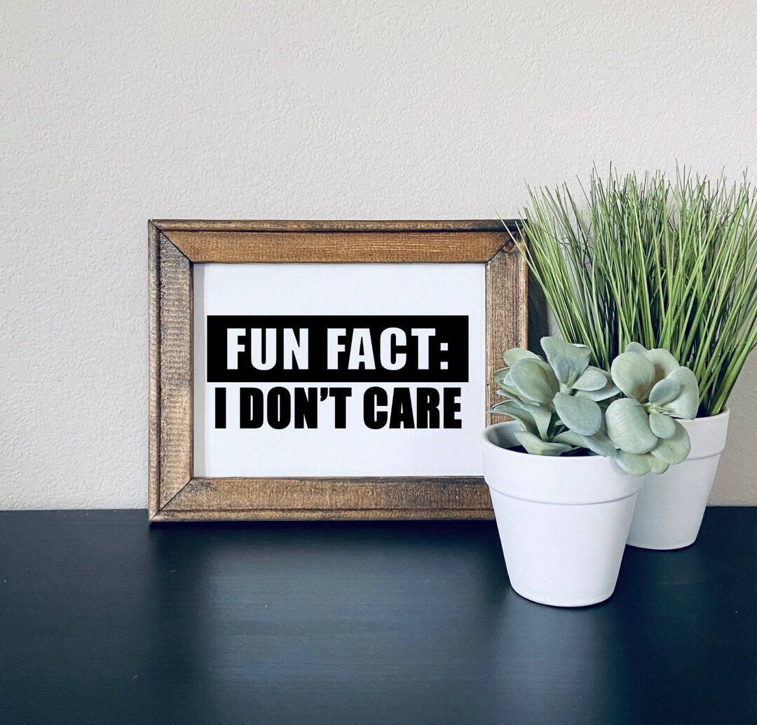 Fun Fact I Dont Care Funny Sign 8x10 Reverse Canvas Sign - Etsy